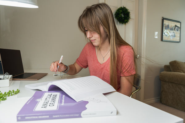 Analytical Grammar Level 5: Punctuation and Usage Student Worktext - Demme Learning Store