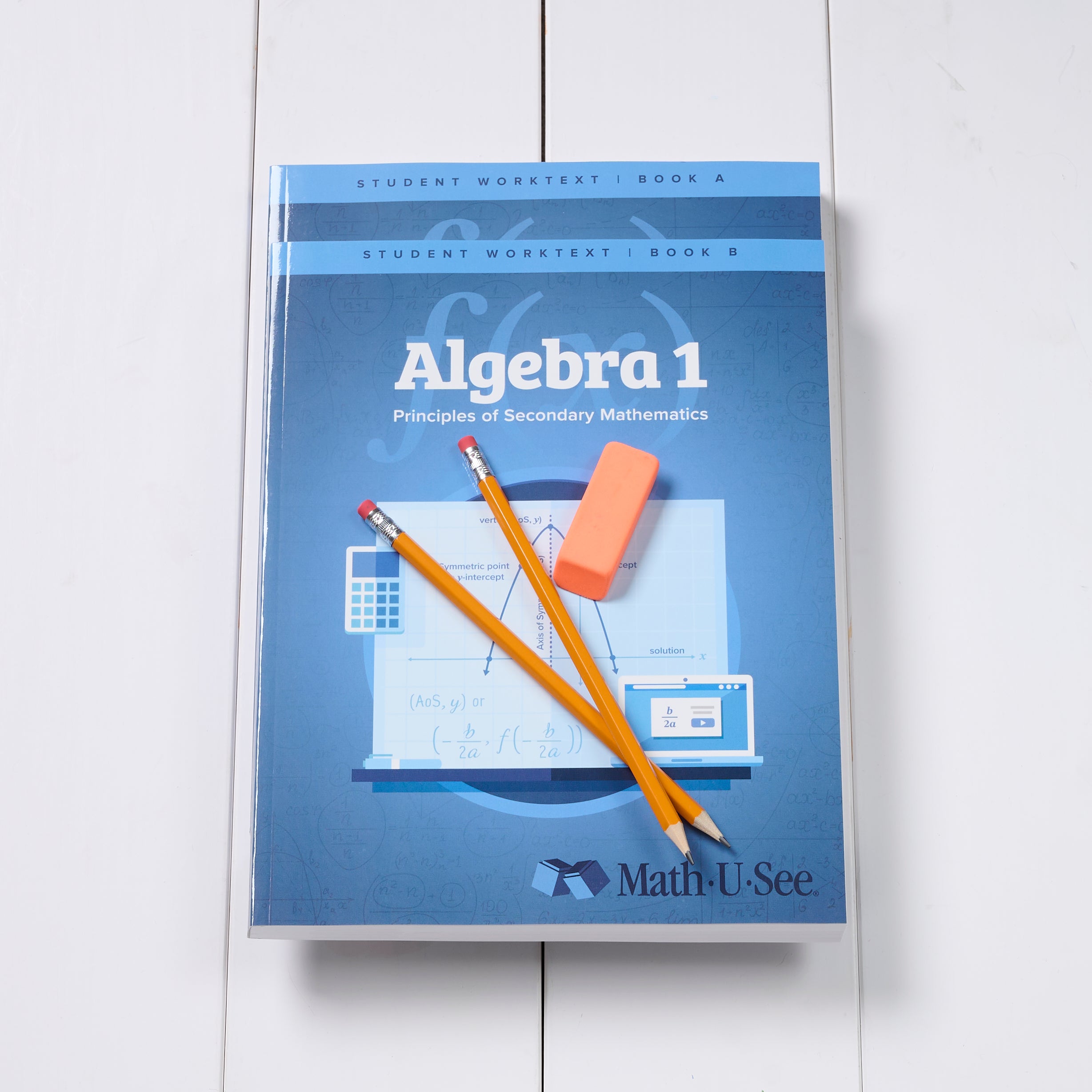 All Algebra 1 Principles of Secondary Mathematics Products - Demme Learning Store