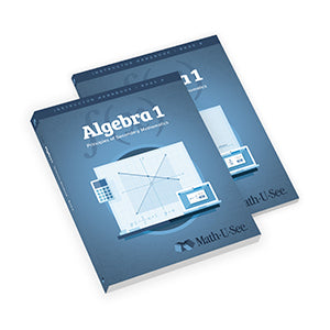 Algebra 1 Principles of Secondary Mathematics - Demme Learning Store