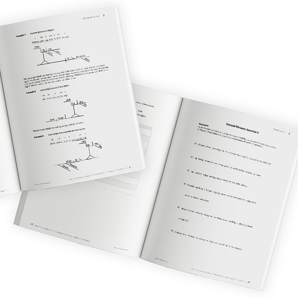 Analytical Grammar Level 4: Phrases and Clauses Set - Demme Learning Store