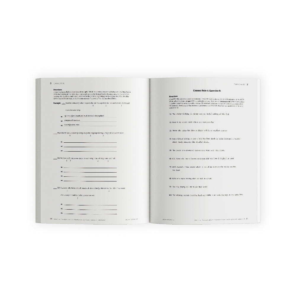 Analytical Grammar Level 5: Punctuation and Usage Set - Demme Learning Store