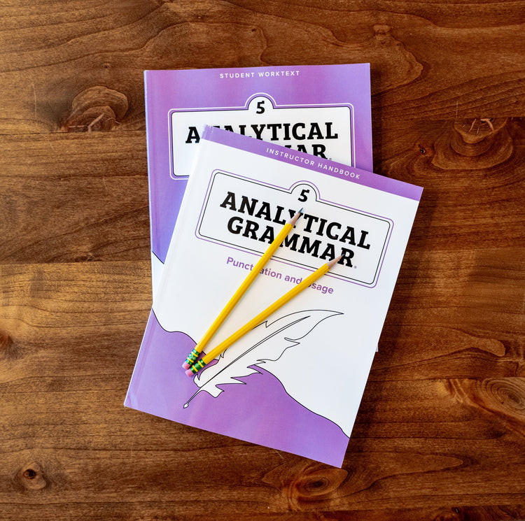 Level 5: Punctuations and Clauses - Demme Learning Store