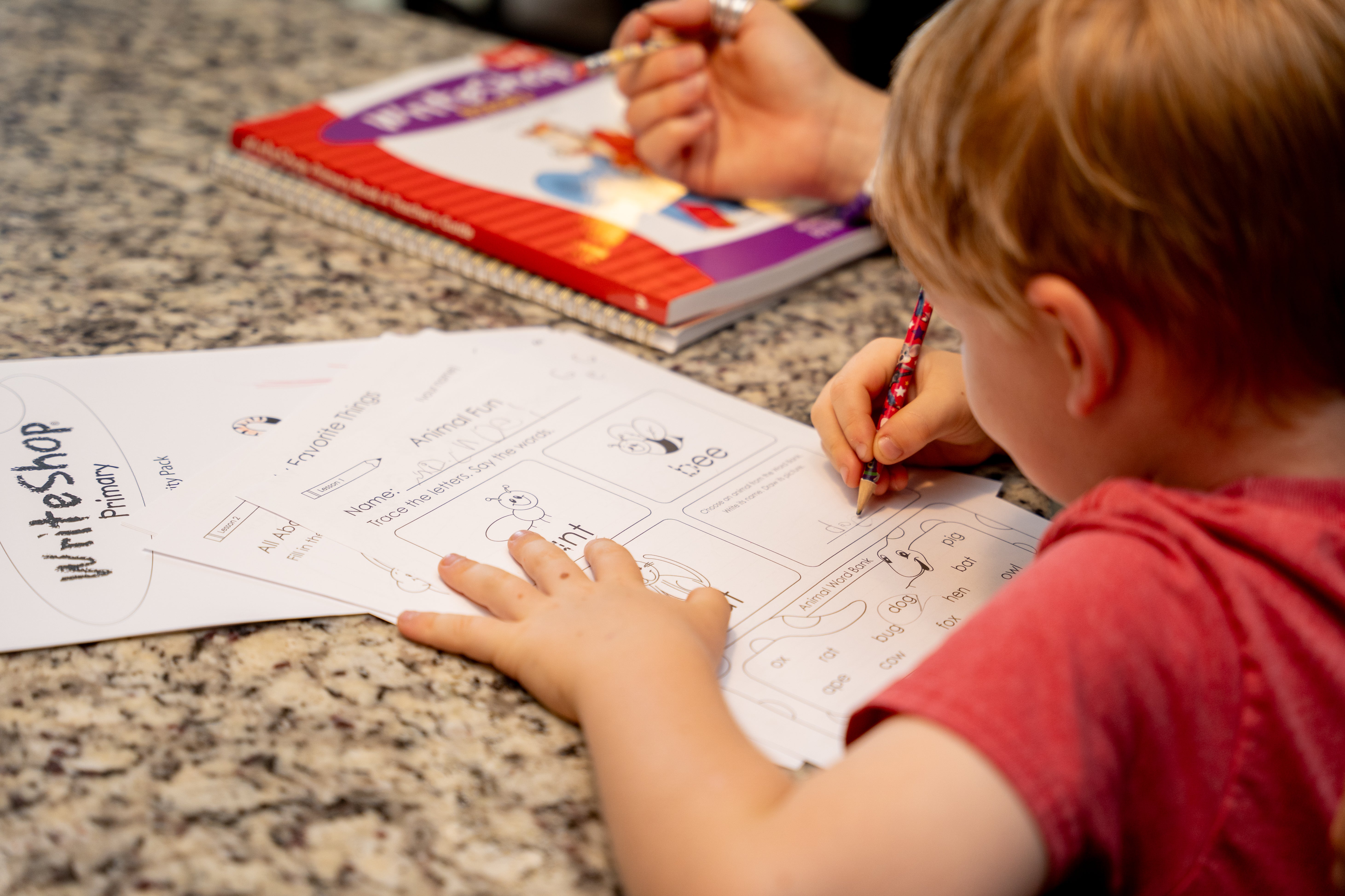 WriteShop Primary Book A Activity Pack - Demme Learning Store