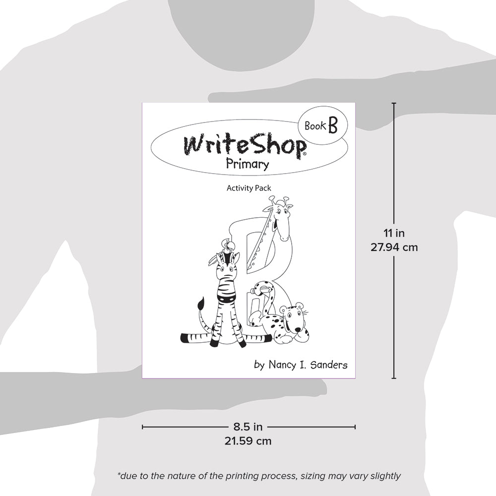 WriteShop Primary Book B Set - Demme Learning Store